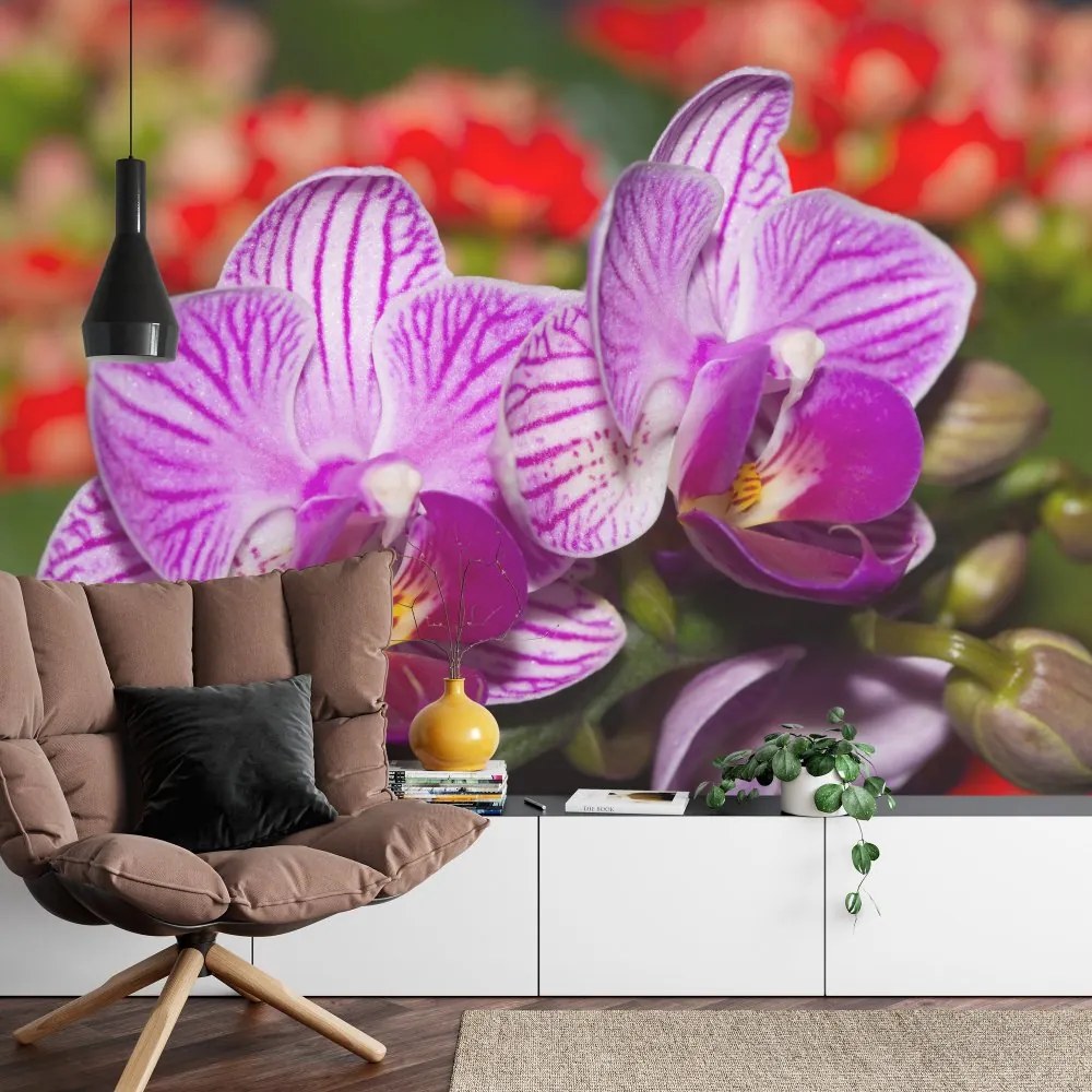 Fototapeta Optická Orchidea 3D Strukturální vinyl 208x146