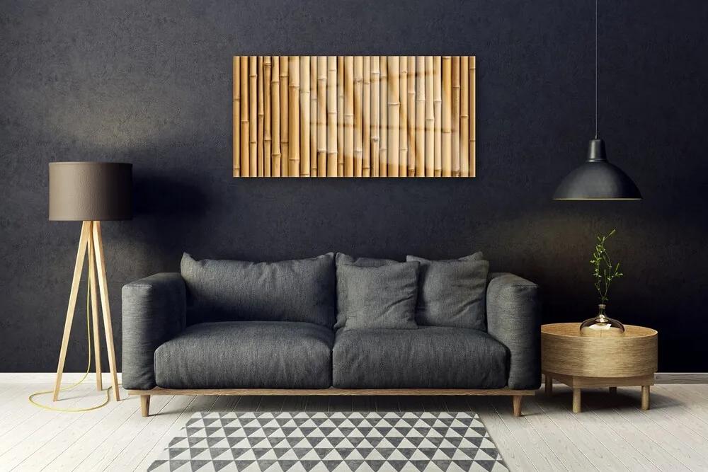 akrylový obraz Bambus Rostlina Příroda 100x50 cm