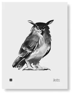Plakát Owl velký 50x70 cm Teemu Järvi Illustrations