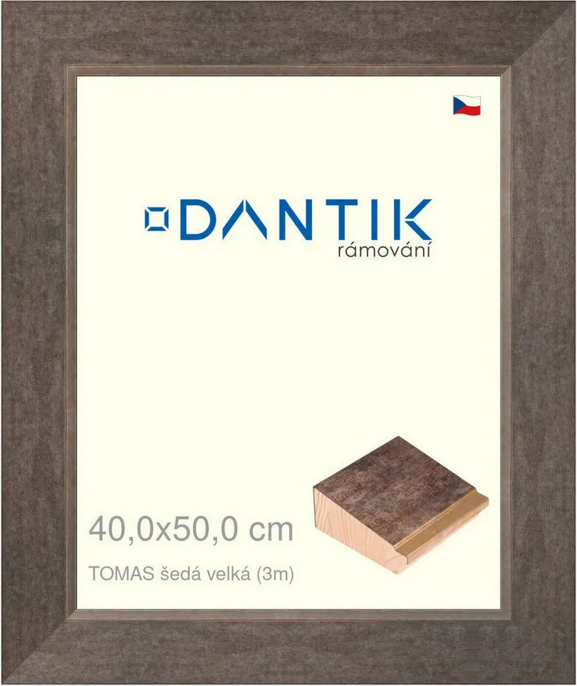 DANTIK rámeček 40x50 | TOMAS šedá velká (Sklo Čiré)