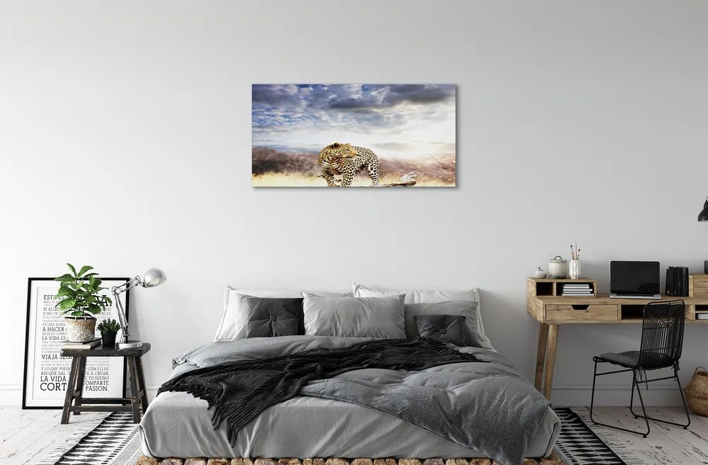 Obrazy na plátně panter mraky 140x70 cm