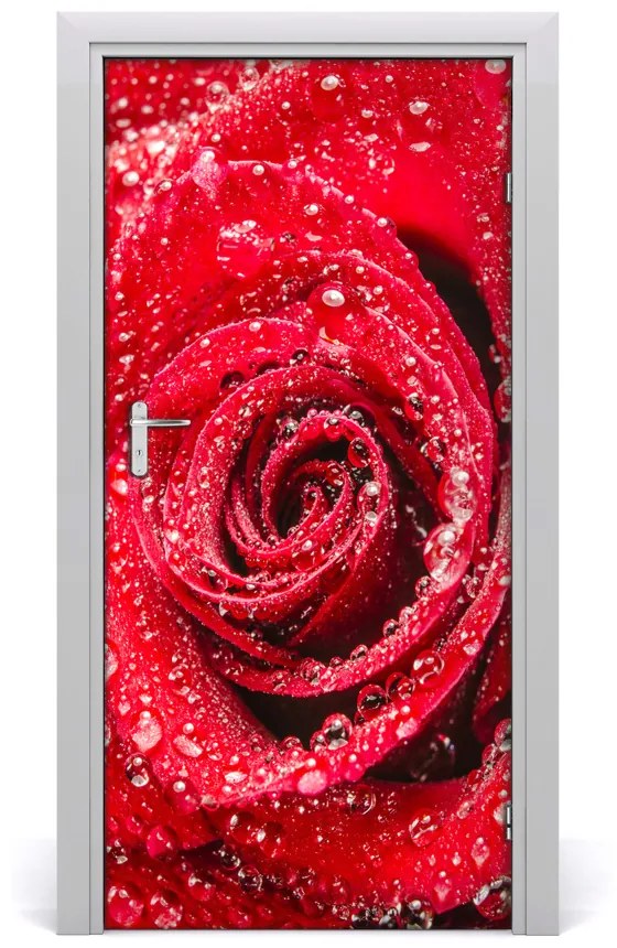 Fototapeta samolepící červená růže 85x205 cm