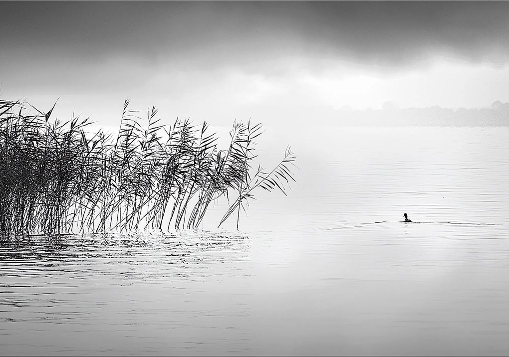 Obraz na plátně By the Lake II