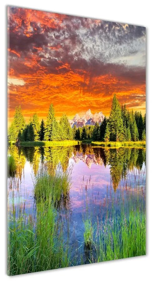 Wallmuralia Fotoobraz na skle Jezero v lese 50x100 cm