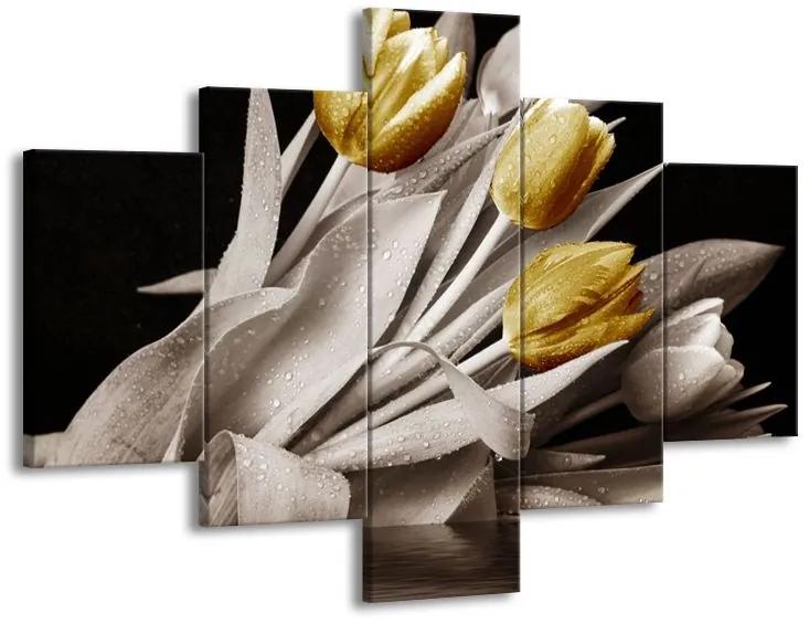 Zlaté tulipány černobílé 100x70 cm