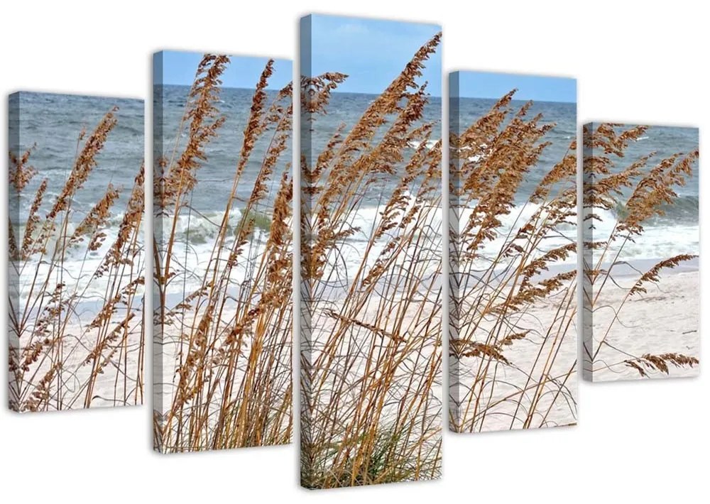 Obraz na plátně pětidílný Duny na mořské pláži - 100x70 cm
