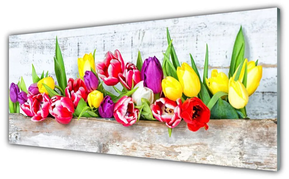 Plexisklo-obraz Tulipány Květiny Příroda 125x50 cm