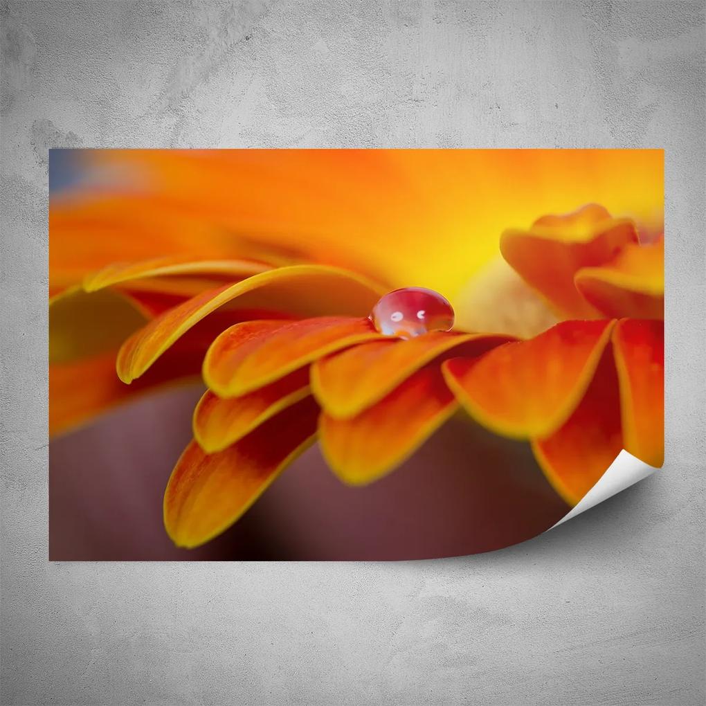 Plakát - Oranžový květ makro (60x40 cm) - PopyDesign