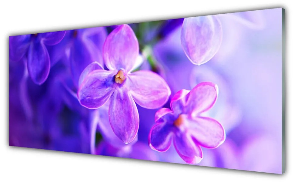 Plexisklo-obraz Fialové Květiny Příroda 125x50 cm