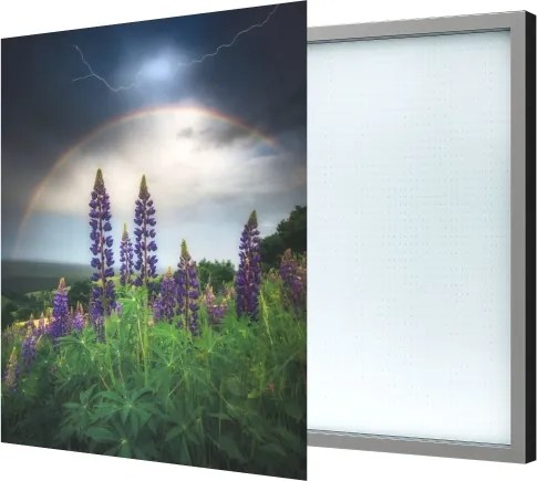 Led Podsvícený Obraz Lupina rámeček stříbrný Elegance Slim 40x50 cm napájecí adaptér