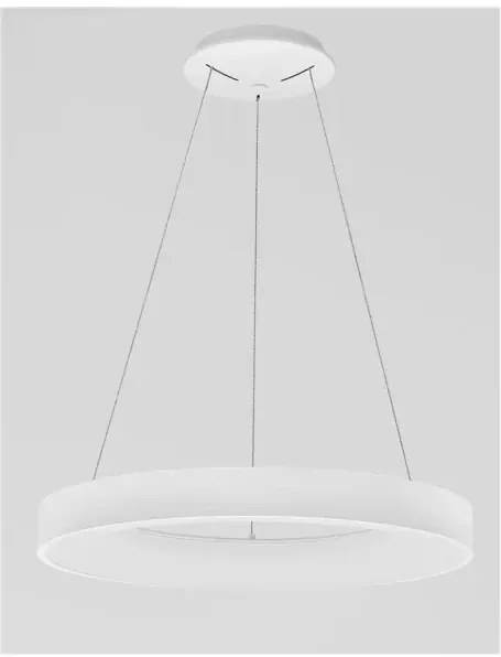 LED lustr Rando Smart 60 bílé