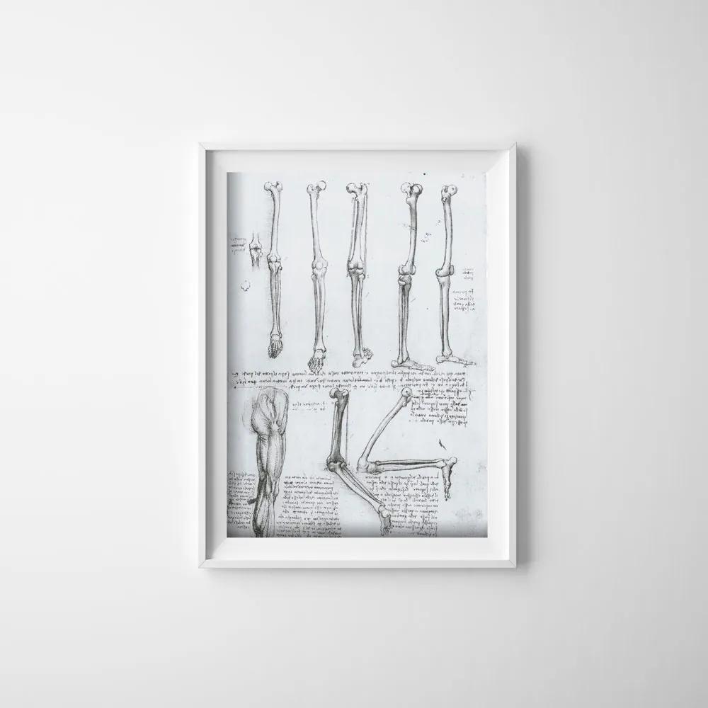 Dekorativní plakát Da vinci kosti nohou