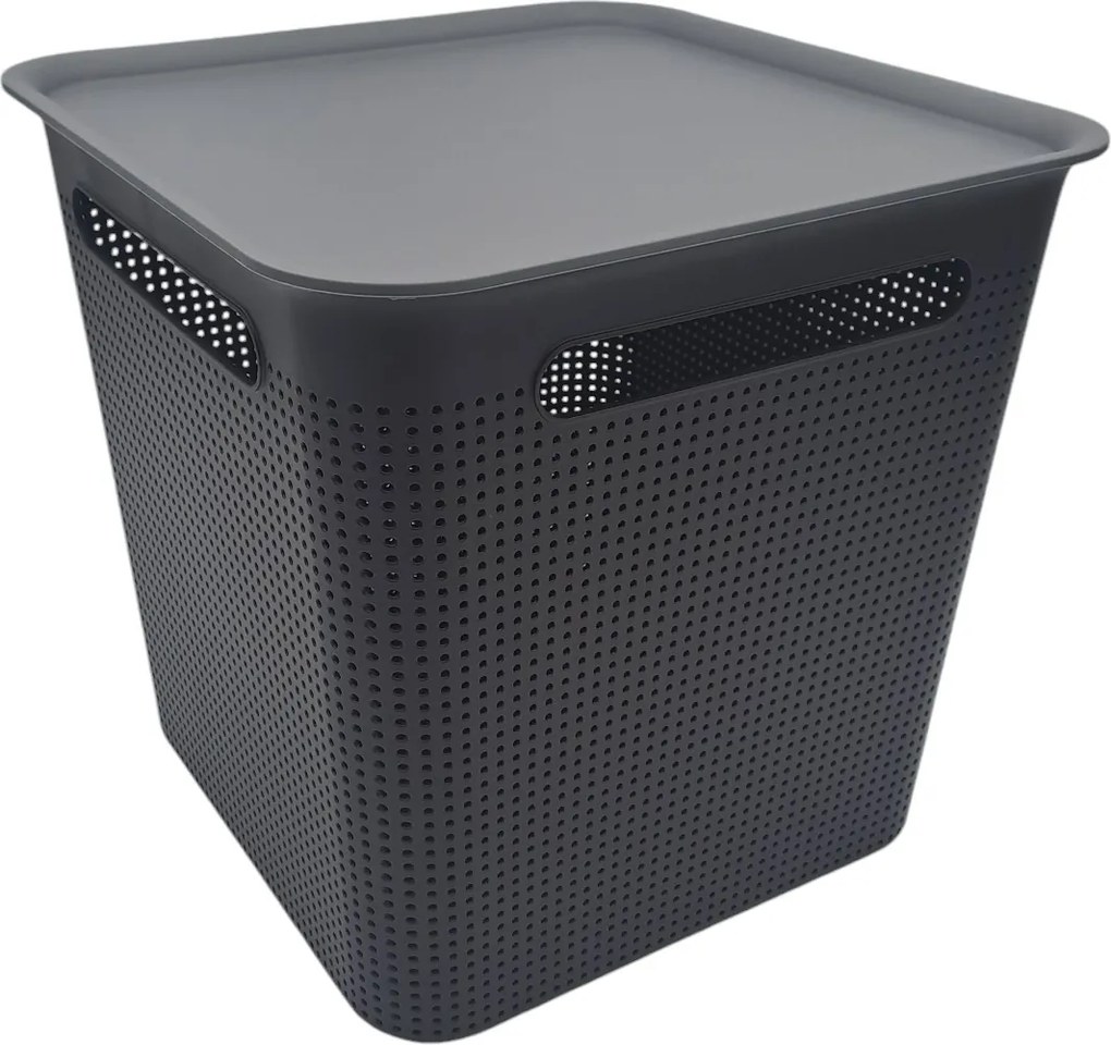 Rotho Úložný box s madly BRISEN 18l, 29x29x29cm, černý