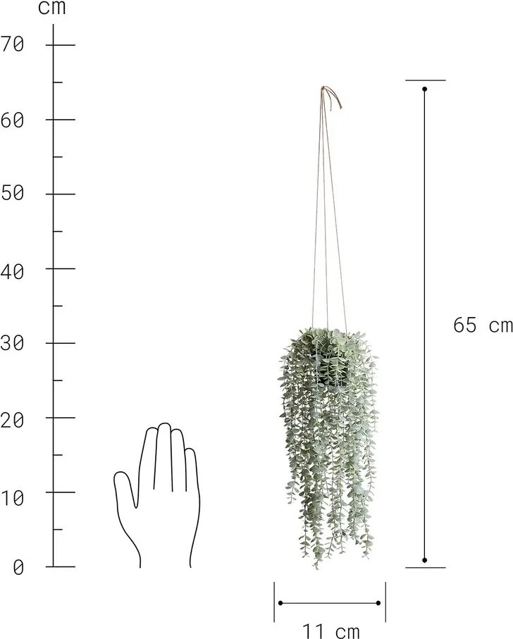 FLORISTA Eukalyptus převislý malý list 65 cm