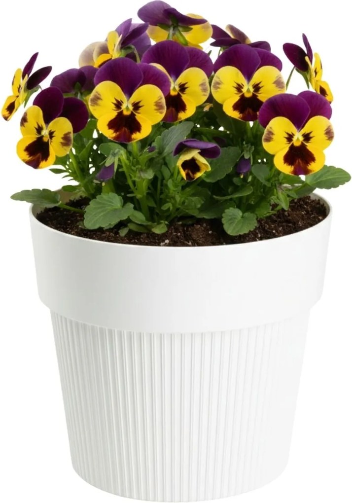 PLASTOVÝ KVĚTINÁČ SILVA LINE 16X14 CM KRÉMOVÁ