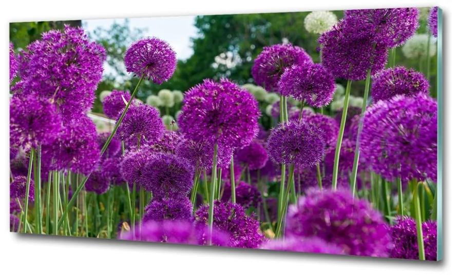 Wallmuralia Fotoobraz na skle Květ česneku 100x50