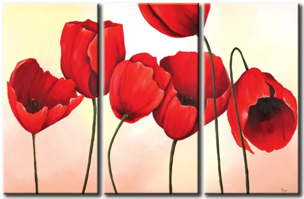 Obraz Červené květy (3-dílný) - kompozice tulipánů na pastelovém pozadí