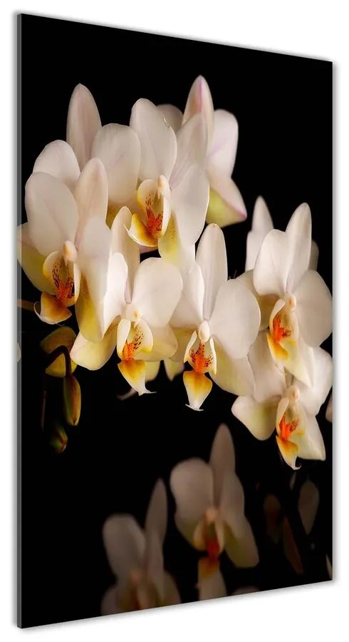 Wallmuralia Foto obraz akrylový na stěnu Orchidej 70x140 cm