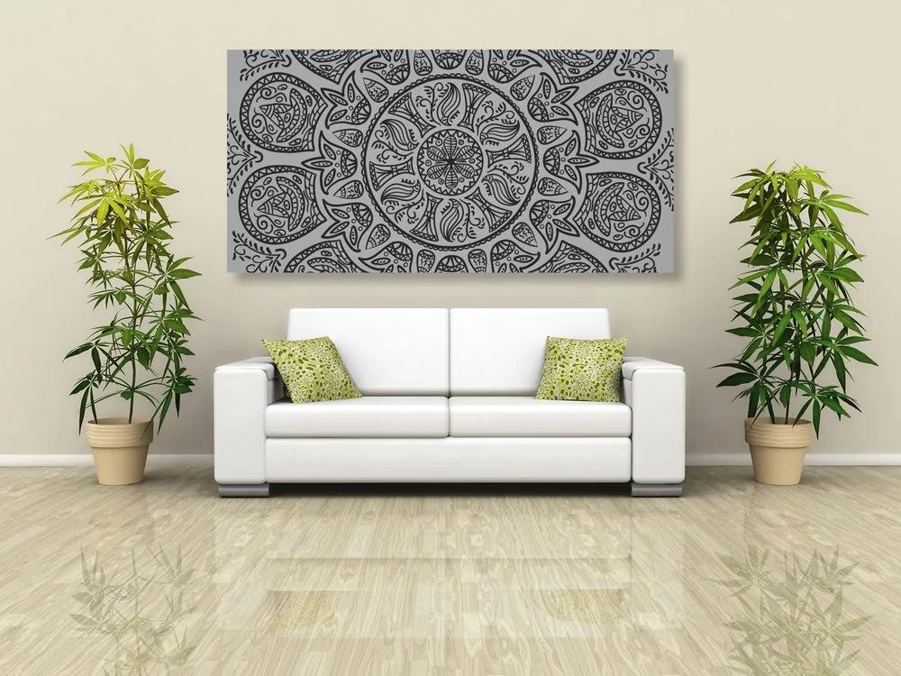 Obraz Mandala s abstraktním přírodním vzorem v černobílém provedení