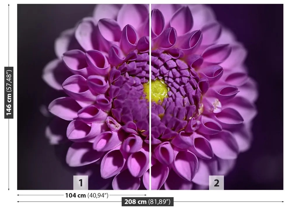 Fototapeta Dahlia růžová 104x70