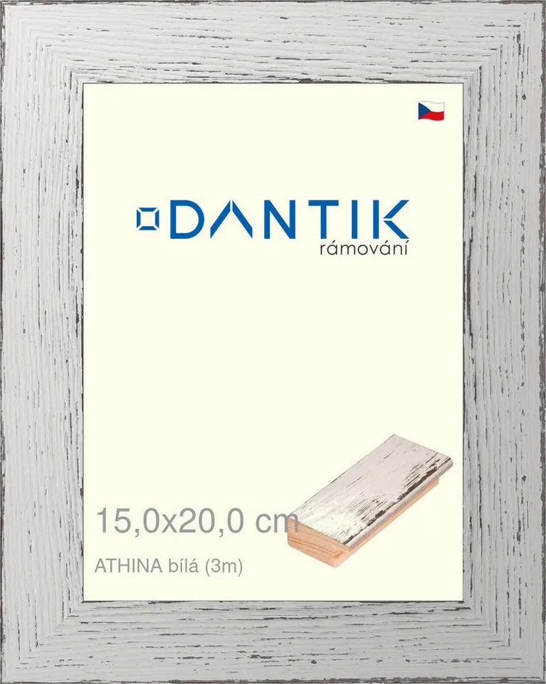 DANTIK rámeček 15x20 | ATHINA Bílá (Sklo Čiré)