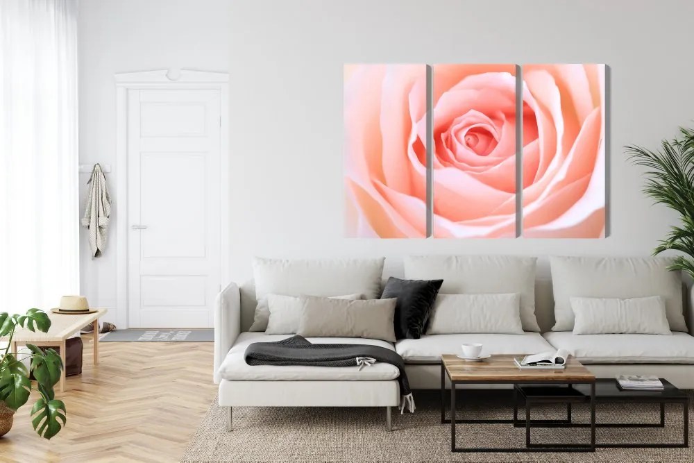 Vícedílný obraz Pastelová Růže Na 3D Makro Měřítku Nedostatek Nedostatek Přírodní plátno 120x80