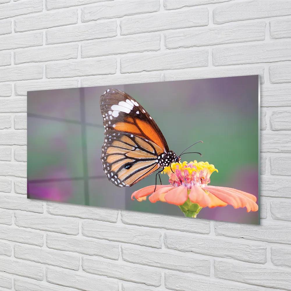 akrylový obraz Barevný motýl květina 125x50 cm