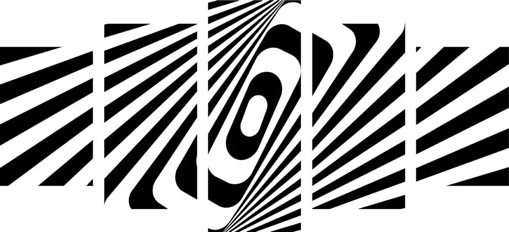 5-dílný obraz černobílá iluze - 100x50 cm