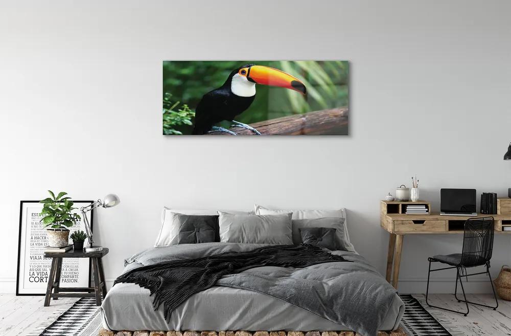 akrylový obraz Tukan na větvi 120x60 cm