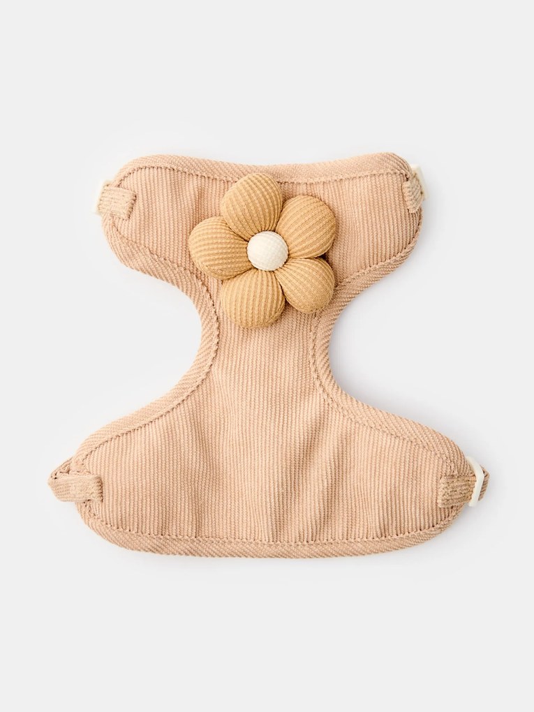 Sinsay - Postroj pro mazlíčka s 3D květinovou aplikací - hnědá