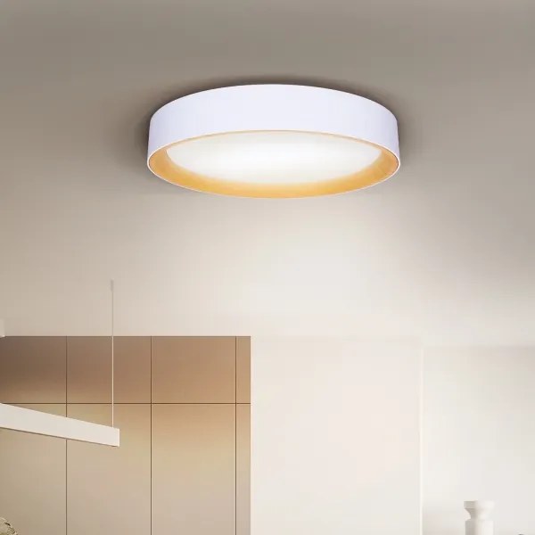Brilagi -LED Stmívatelné svítidlo LARIOS LED/60W/230V 3000-6500K pr. 49 cm bílá+DO