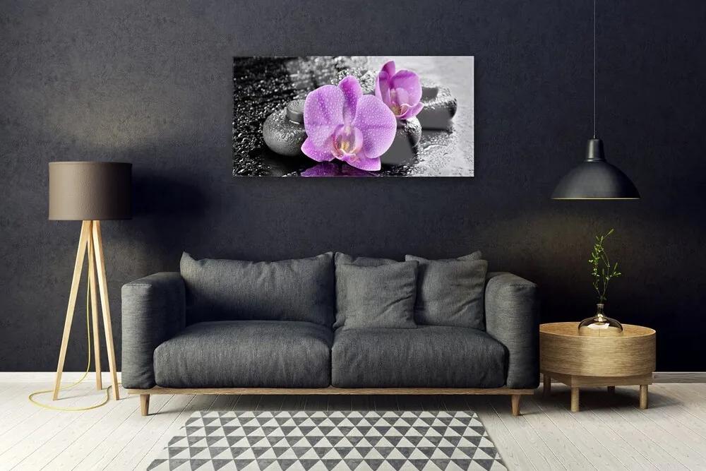 Obraz na skle Orchidej Květiny Kameny Zen 100x50 cm