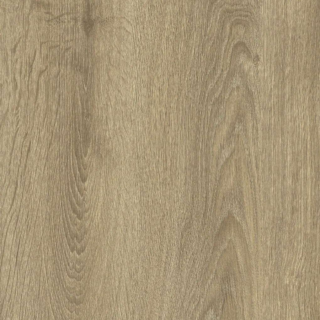 IVC Commercial, PVC podlaha - lino Logitex Ultimate 55 Elias T47, na míru, šíře 2m,4m, hnědá, filc, chodba / předsíň