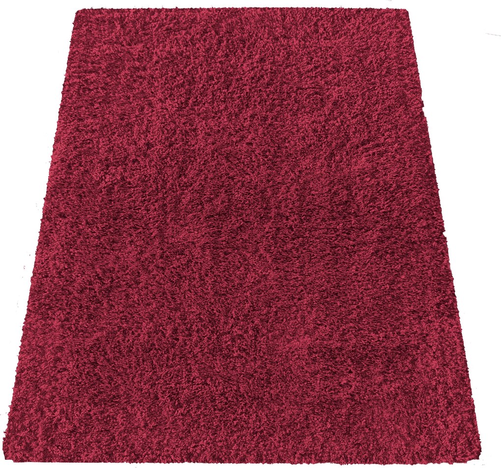 DY Červený neklouzavý koberec shaggy Camel Rozměr: 200x290 cm