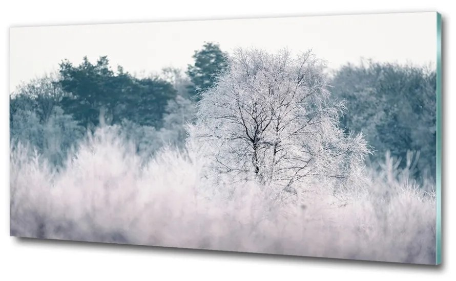 Wallmuralia Foto obraz sklo tvrzené Stromy zimou 100x50