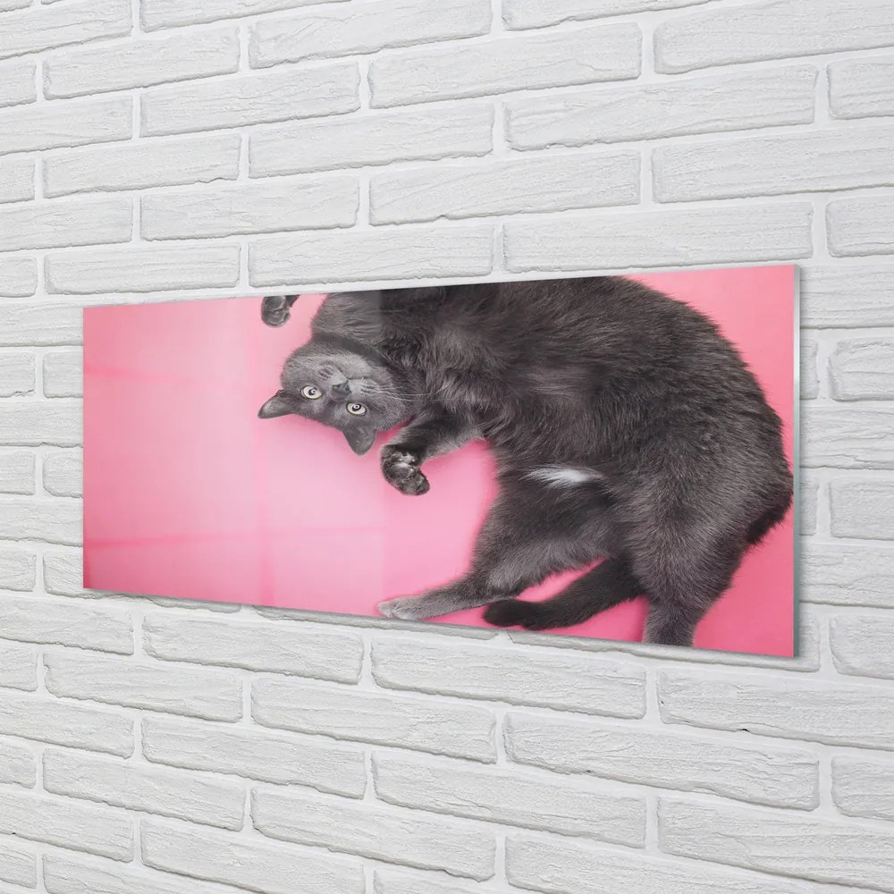 akrylový obraz ležící kočka 120x60 cm