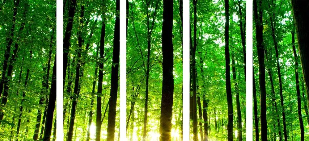 5-dílný obraz svěží zelený les Varianta: 200x100