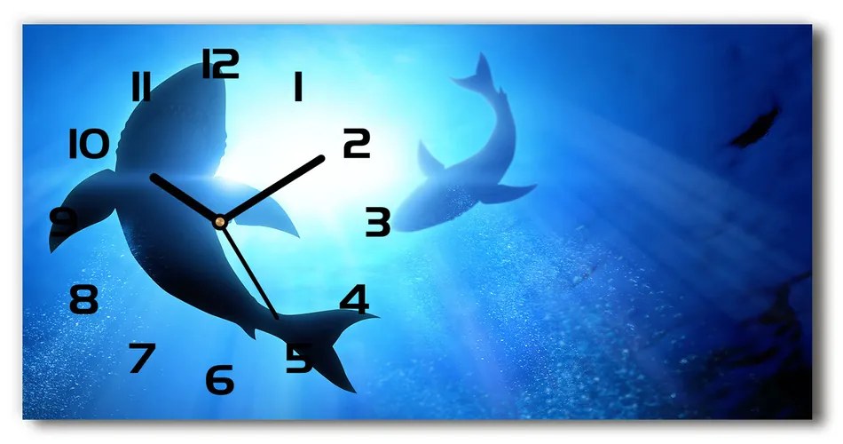 Wallmuralia Moderní skleněné hodiny na stěnu Dva žraloci 60x30 cm