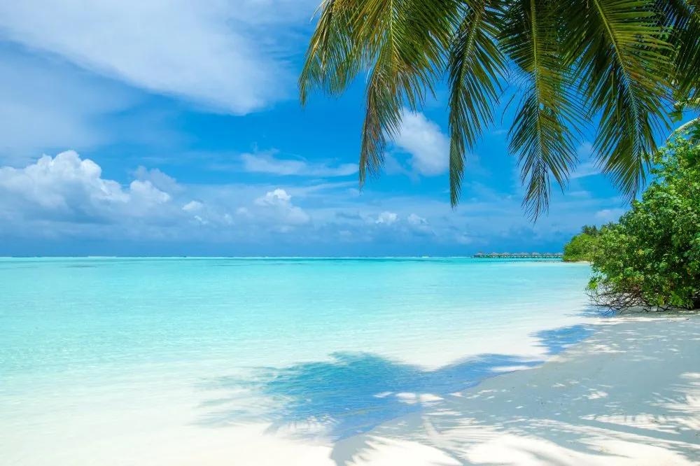 Vícedílný obraz Pláž Na Maledivách Nedostatek Nedostatek Plátno Canvas 180x120