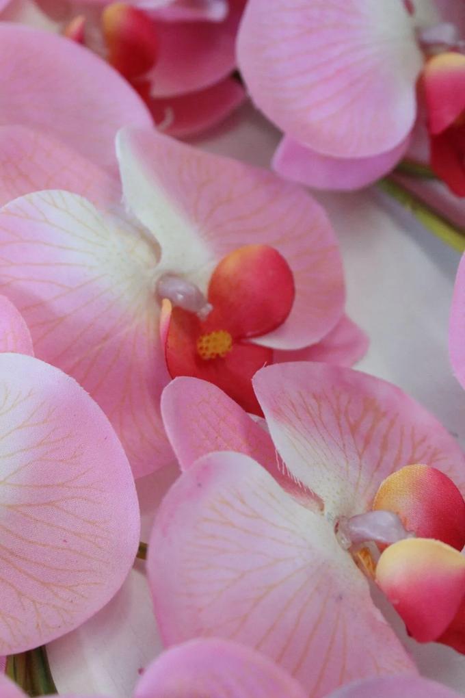 Růžová třístonková orchidej s listy 90cm
