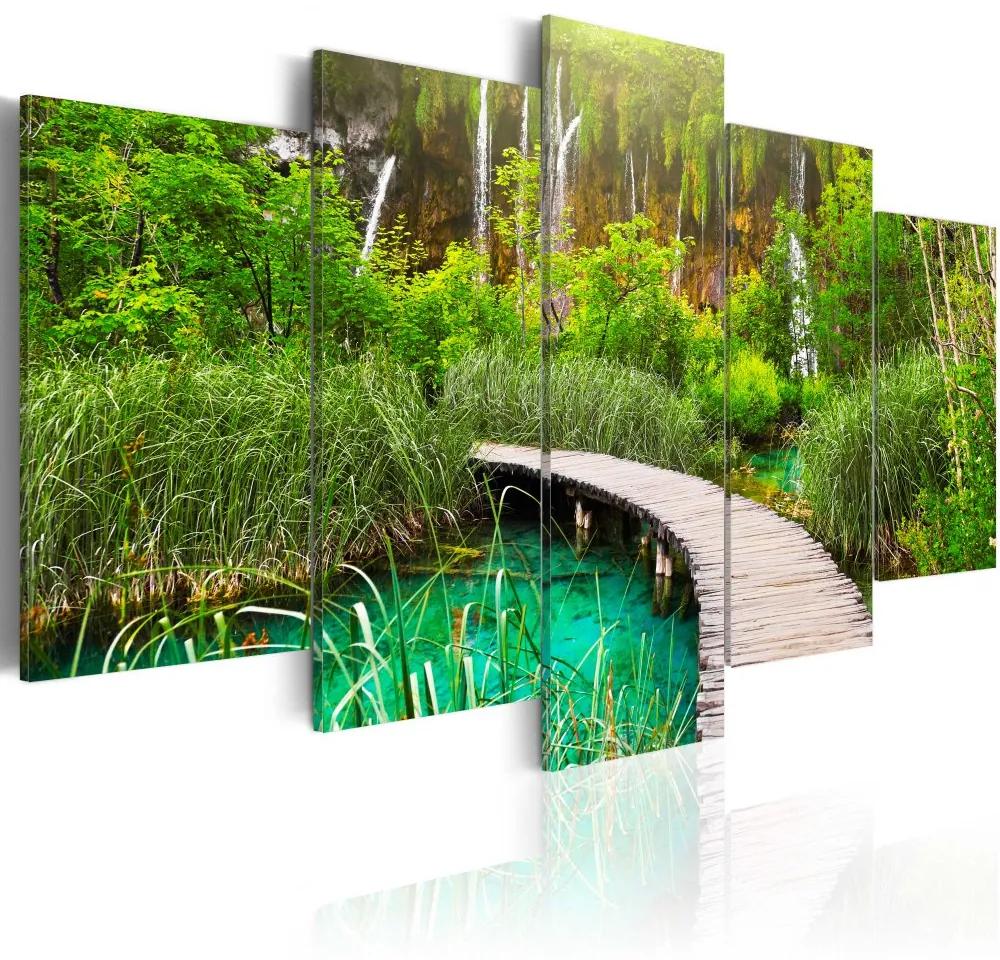 Obraz na plátně Bimago - Emerald Trail 100x50 cm