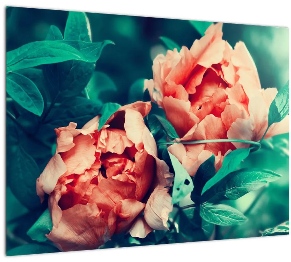 Skleněný obraz jarních květin (70x50 cm)