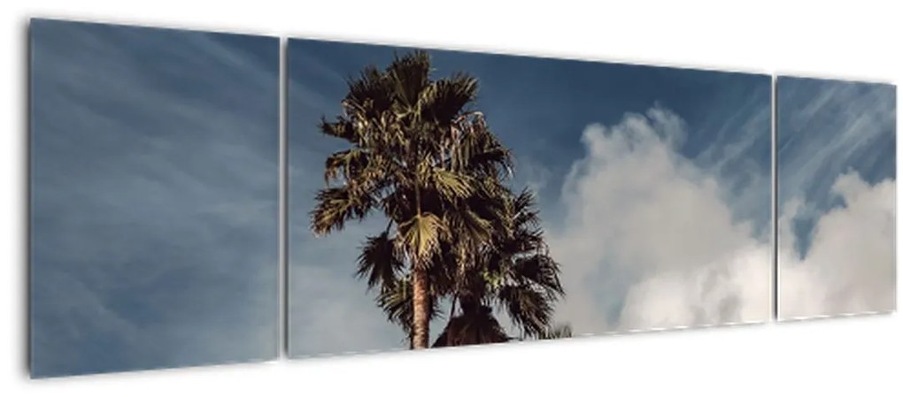 Obraz - Palmové drama (170x50 cm)