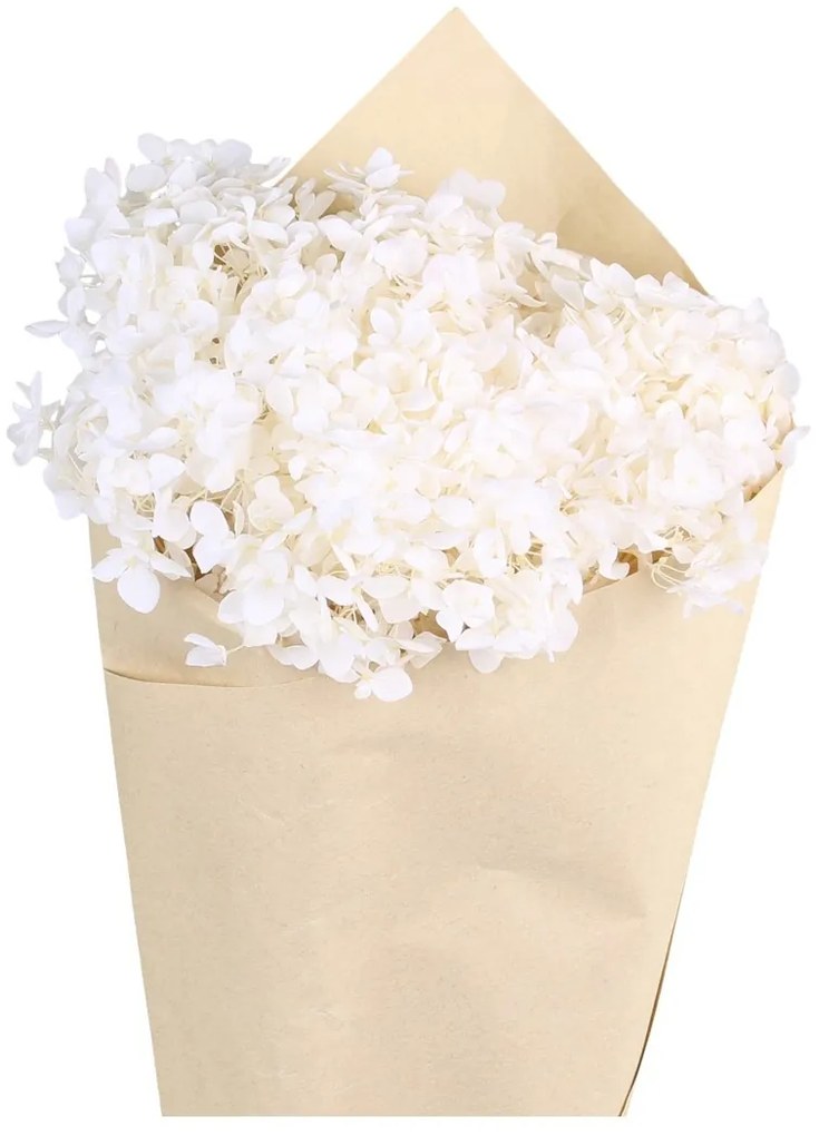 Bílá dekorace sušená květina hortenzie Hydrangea Flower - 60 cm