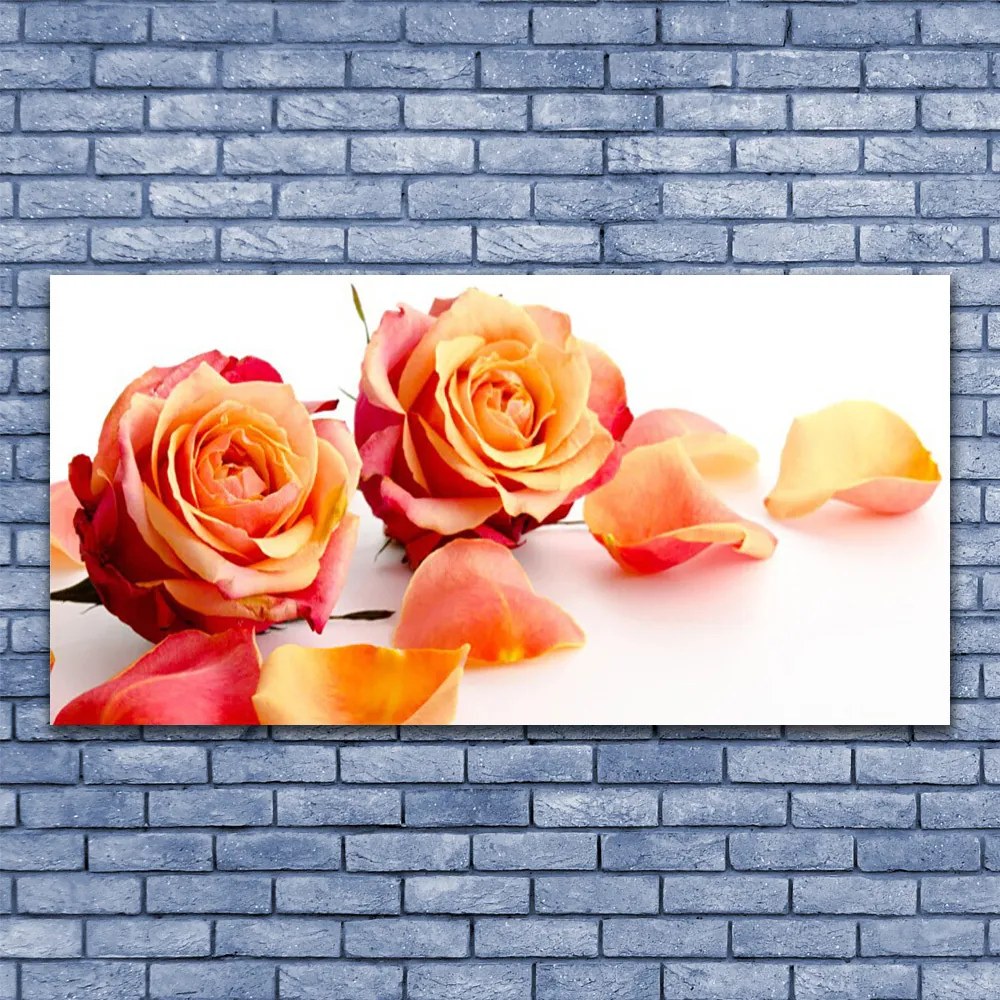Obraz na plátně Růže Květiny Rostlina 100x50 cm