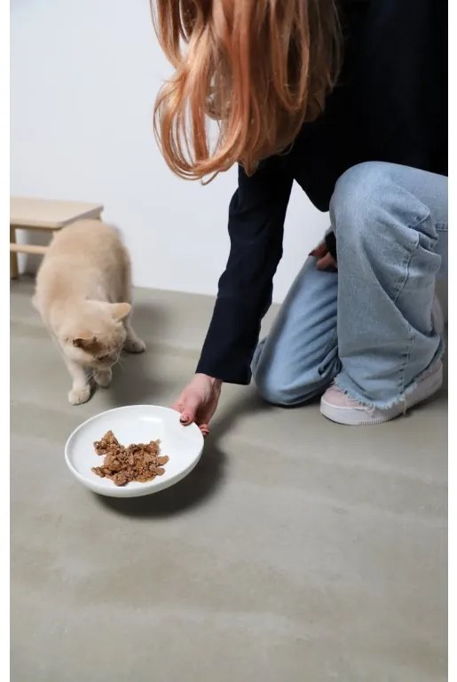 Pet Amour Designová miska pro kočky Plate bílá