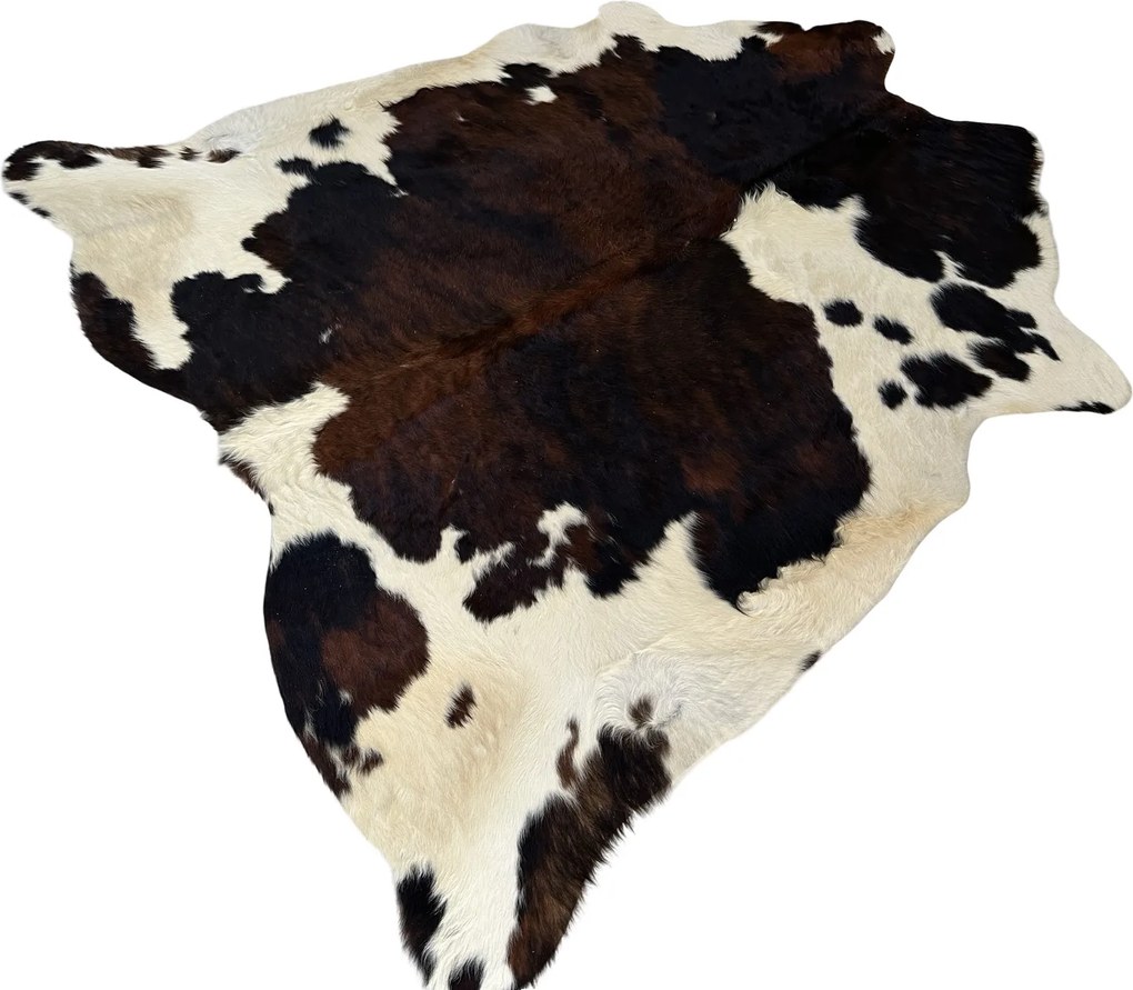 Koberec kusový hovězí kůže 3,4 m2, exotic tricolor 1035