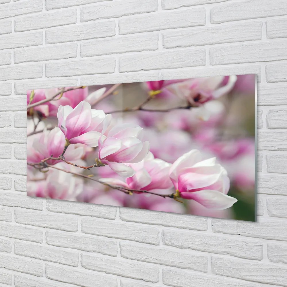 akrylový obraz květy 100x50 cm