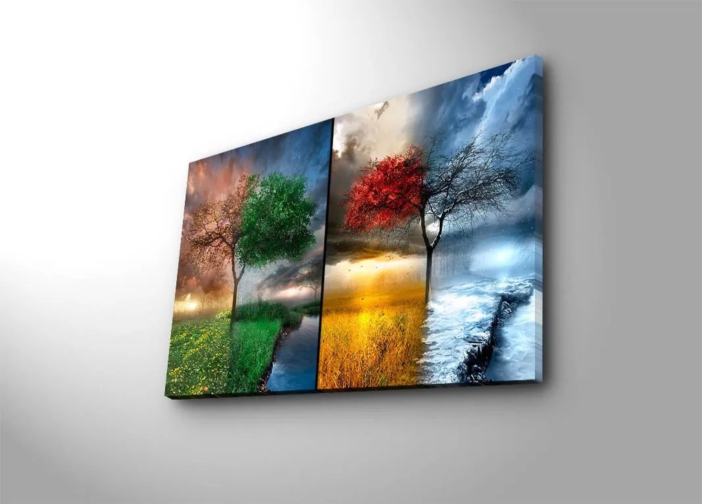 Obraz SEASONS 45x70 cm vícebarevný