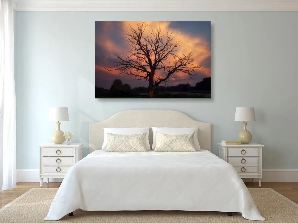 Obraz nádherný strom na louce - 60x40 cm